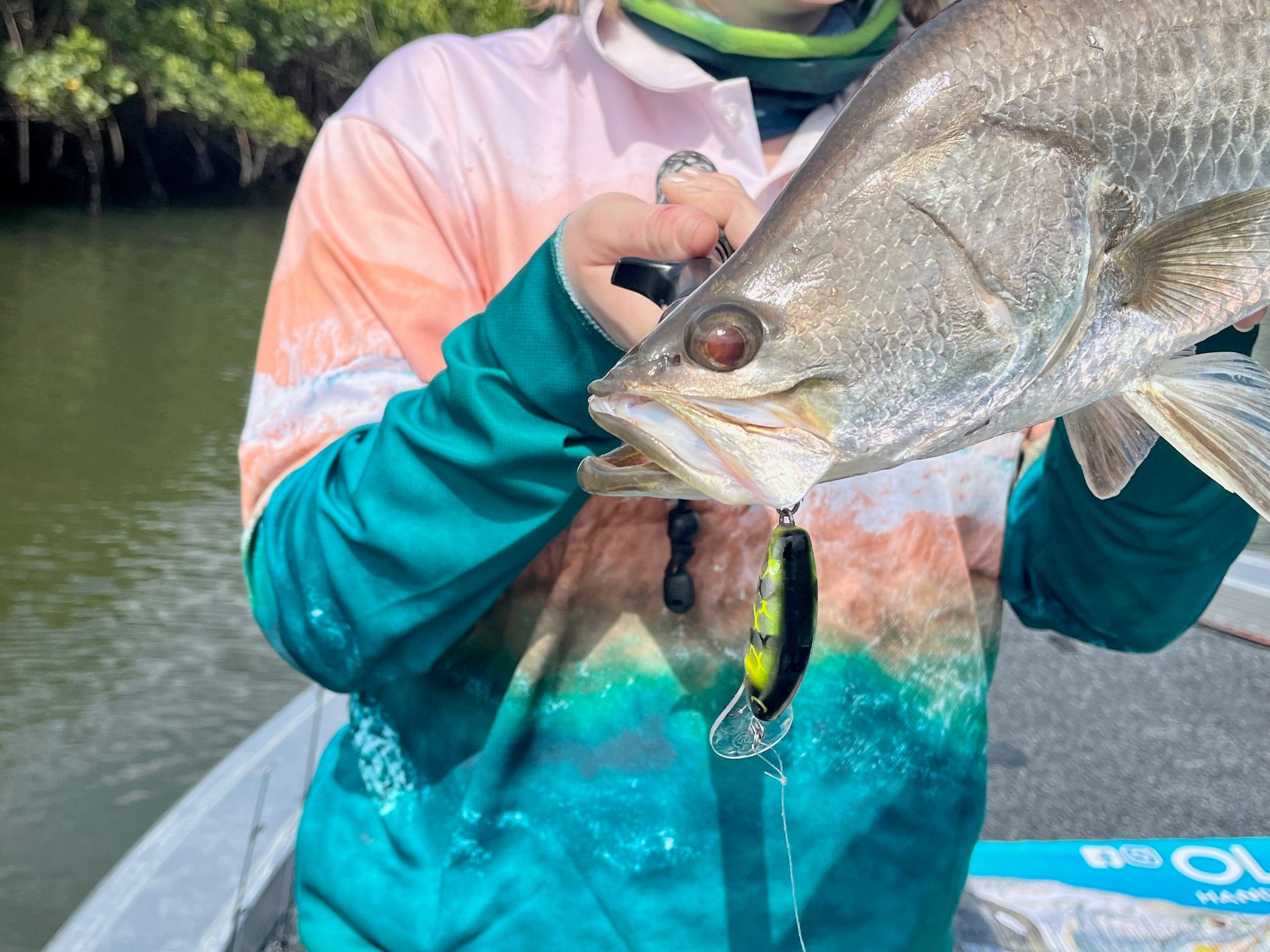 Handcrafted Timber Fishing Lures